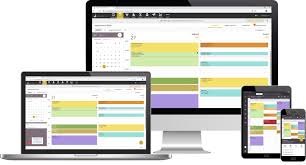 Book your appointment - Scoli-Fit | Non-surgical Scoliosis Treatment by ...